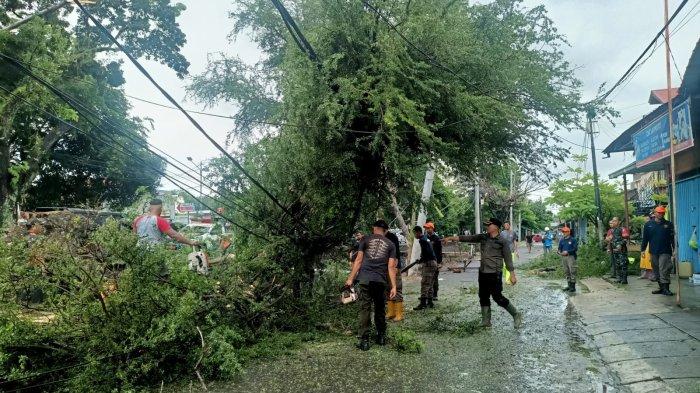 Pohon Tumbang di Jalan Perintis Kemerdekaan Padang, Timpa Kabel dan ...
