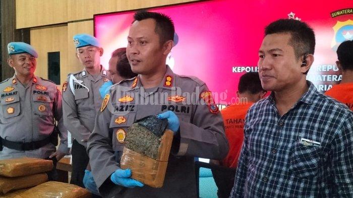 Polres Pariaman Amankan 77 Paket Besar Ganja, Kapolres: Hadiah Peringatan Hari Bhayangkara ke-77 ...