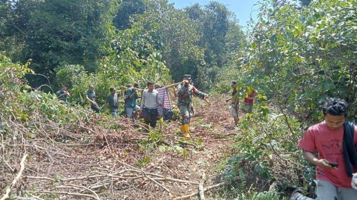 Tak Pulang dari Kebun Sawit, Petani di Pesisir Selatan Ditemukan Meninggal Dunia - Tribunpadang.com
