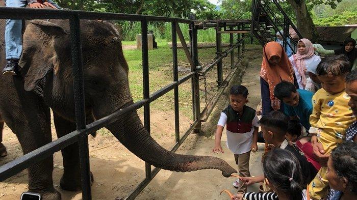 Harga Tiket Taman Satwa Kandi Sawahlunto saat Libur Lebaran, Anak Rp 12 ...