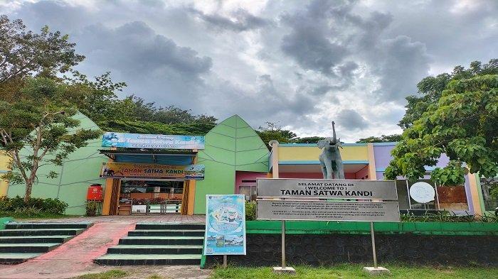 Taman Satwa Kandi Sawahlunto Direnovasi, Kandang Merak Owa Ungko dan ...