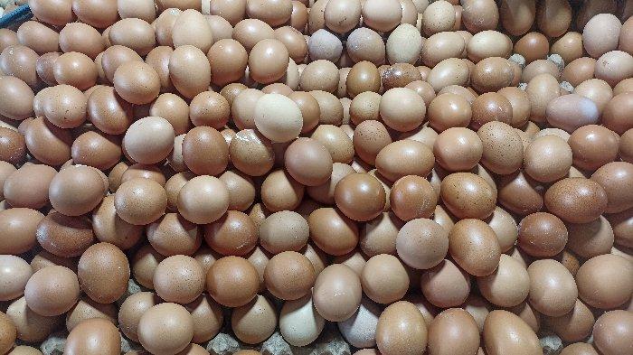 2 Hari Jelang Lebaran, Harga Telur di Pasar Raya Padang Sumbar Tetap ...
