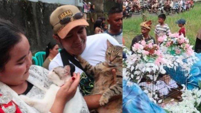 Viral Ulang Tahun Kucing Seharga Rp50 Juta, Ada Orkes Dangdut dan Nazar Unik di Banyuwangi ...