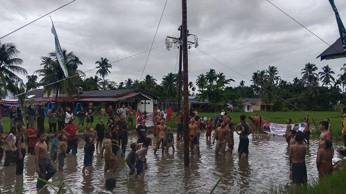 Lomba Panjat Pinang di Tengah Sawah Meriahkan Perayaan HUT RI ke-78 di ...