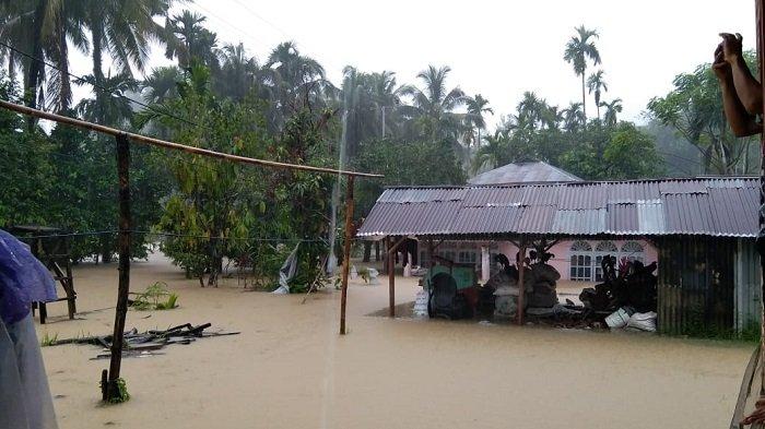 Banjir di Padang Pariaman Mulai Surut, Material Longsor dan Pohon Tumbang Dibersihkan ...