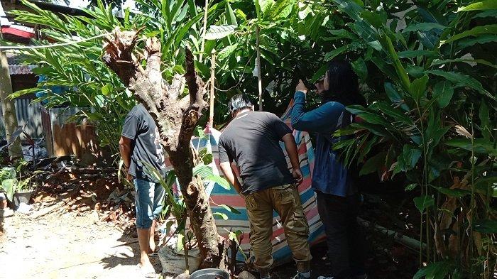 Cerita Warga Padang Megi Suprianto, Cium Bau Bangkai di Malam Hari ...