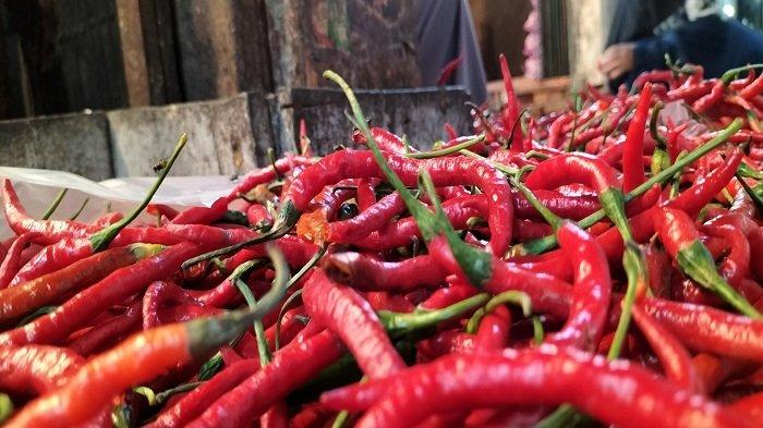 Kabupaten Solok dan Agam 2 Daerah Penghasil Cabai Terbanyak di Sumbar ...