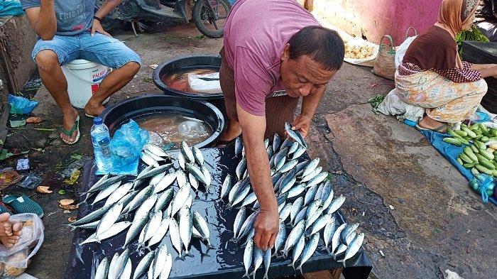 Jepang Selamatkan Bluefin Tuna, Populer untuk Olahan Sushi dan Sashimi ...