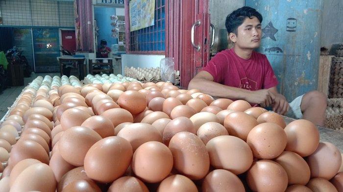 Harga Telur di Padang Merangkak Naik Jelang Nataru, Diperkirakan Tembus Rp 60 Ribu di Akhir ...
