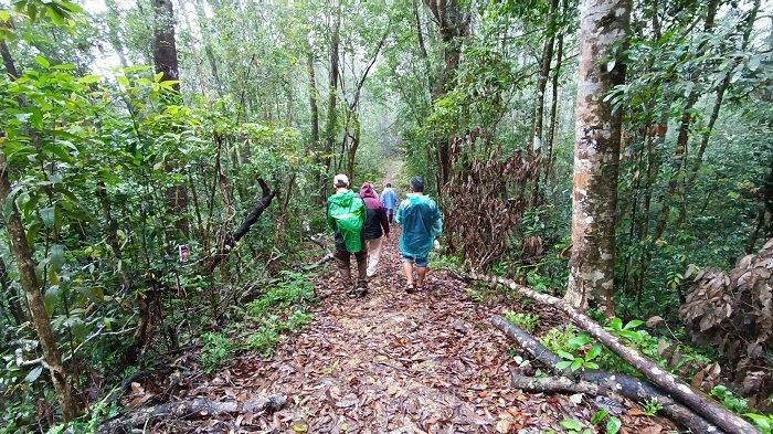Nagari Sirukam Solok Siap Menggelar Mountain Bike, Tawarkan Jalur Era ...
