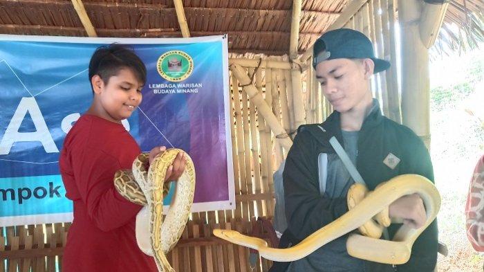 Komunitas Reptil dan Amphibi Padang Perkenalkan Berbagai Jenis Ular ...