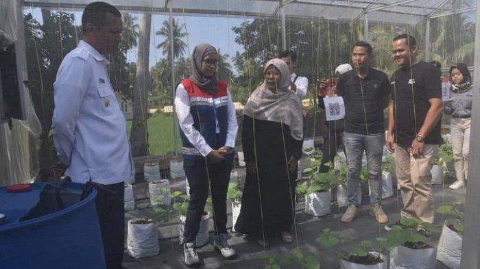 Tingkatkan Kualitas Pertanian, Pemko Pariaman Adakan Pelatihan Smart Farming di Kampung Apar ...