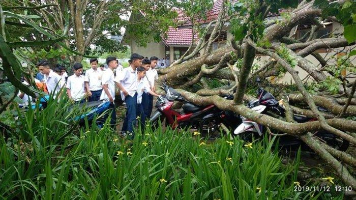 Pohon Tumbang di SMP Negeri 5 Lareh Sago Halaban 50 Kota, Timpa Motor ...