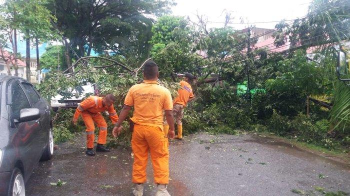 Angin Kencang dan Hujan Lebat di Padang Sebabkan Pohon Tumbang di 12 ...