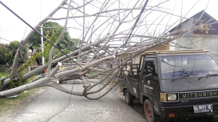 Pohon Kedondong Tumbang di Padang Timpa Mobil Parkir dan Robohkan Tiang Listrik - Tribunpadang.com