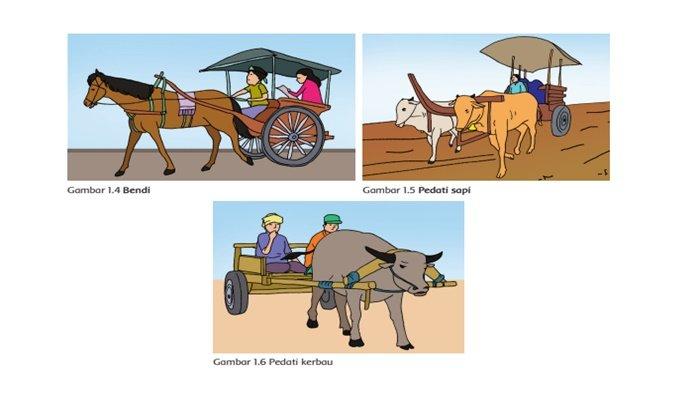 Apa yang Terjadi Saat Kerbau atau Kuda Menarik Pedati? Ini Jawaban Tema ...