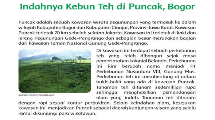 Kunci Jawaban Buku Tema 5 Kelas 5 Halaman 78: Buatlah Pertanyaan ... Kunci Jawaban Buku Tema 5 Kelas 5 Halaman 78: Buatlah Pertanyaan ...