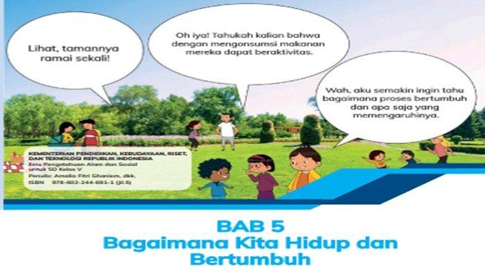 20 Latihan Soal BAB 5 IPAS Kelas 5 SD Kurikulum Merdeka, Bagaimana Kita ...