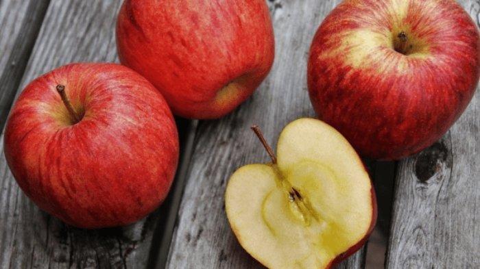 Manfaat Buah Apel, Bisa Obati 12 Penyakit Berbahaya, Termasuk Cegah ...