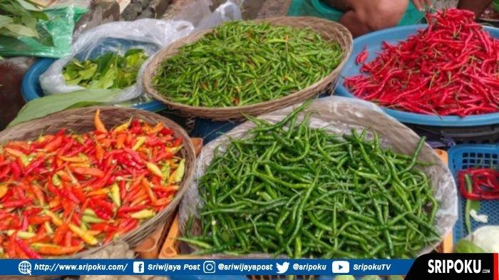 Update Harga Cabai Hari Ini di Pasar 26 Ilir Palembang, Cabai Keriting ...
