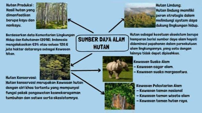 Esai Macam-Macam Potensi Sumber Daya Alam di Indonesia, Kunci Jawaban IPS Kelas 8 Halaman 25 ...