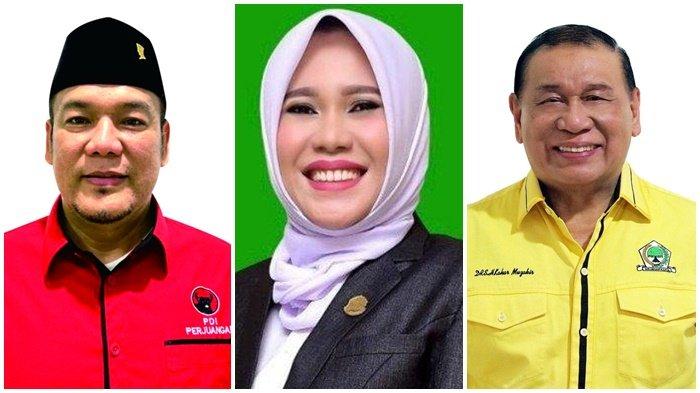 Daftar Lengkap Nama Anggota DPR RI Dapil Sumsel 1 dan Sumsel II ...
