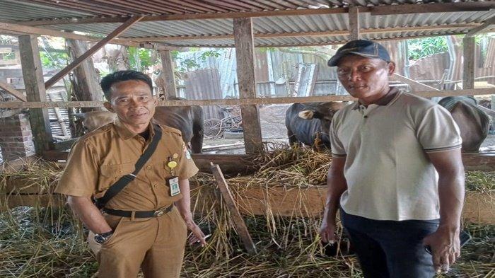 Perketat Pengawasan Pasar Hewan Jelang Idul Adha 1444 H, Dinas ... Perketat Pengawasan Pasar Hewan Jelang Idul Adha 1444 H, Dinas ...