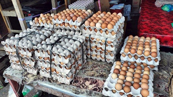 Update Harga Telur Ayam Ras Selasa 2 Januari 2024 di Musi Rawas Sumsel ...