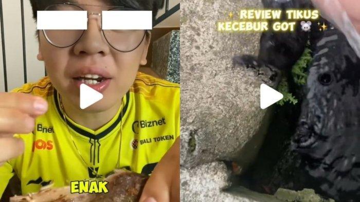 Heboh Aksi Tiktoker Bandung Review Tikus Got Goreng Disantap Pakai Nasi ...