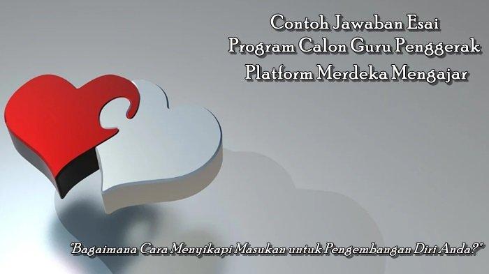 Jawaban Esai Calon Guru Penggerak, Bagaimana Cara Menyikapi Masukan ...