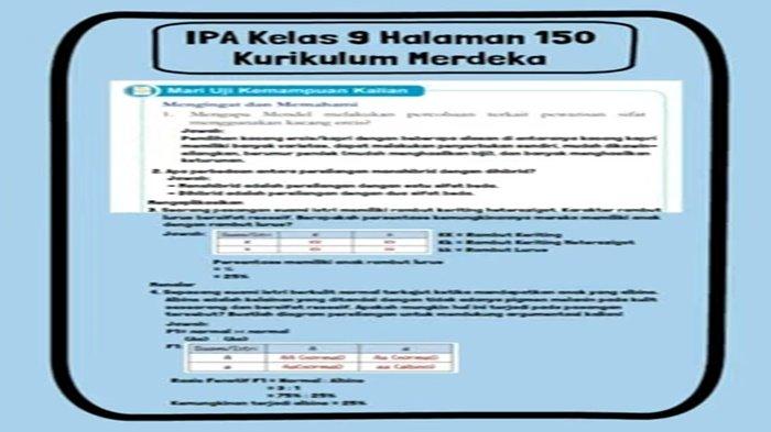 Kunci Jawaban IPA Kelas 9 Halaman 150 Kurikulum Merdeka, Uji Kemampuan BAB 6 Mengingat dan ...