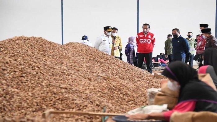 Sediakan Listrik Andal, Cara PLN Dukung Peningkatan Ekspor Biji Pinang dari Kota Jambi ke ...