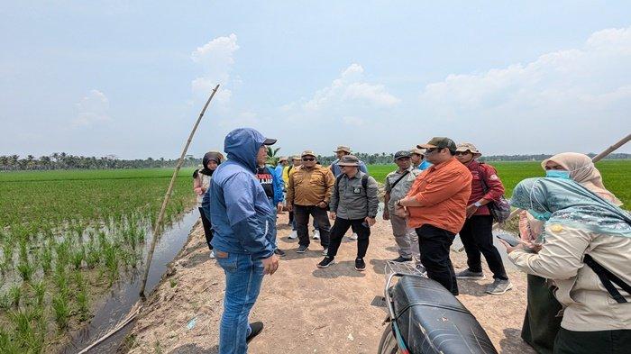 Berita Merdeka Belajar Kampus Merdeka Terbaru Hari Ini - Sripoku.com