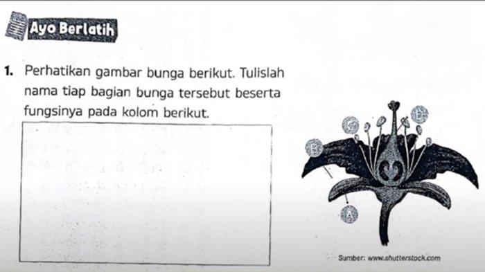 Kunci Jawaban ESPS IPAS Kelas 4 SD Volume 1 Halaman 23 Kurikulum ...