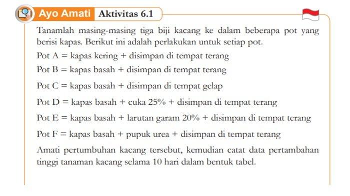 Kunci Jawaban Soal IPA Kelas 7 SMP Halaman 163 164 Kurikulum Merdeka, Ayo Amati Aktivitas 6.1 ...