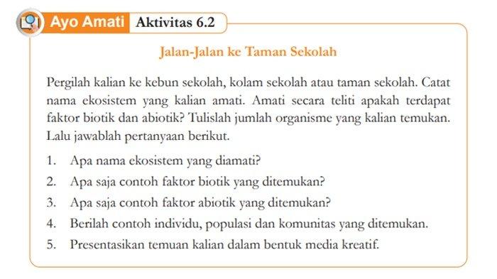 Kunci Jawaban Soal IPA Kelas 7 SMP Halaman 167 Kurikulum Merdeka, Tugas Ayo Amati Aktivitas 6.2 ...