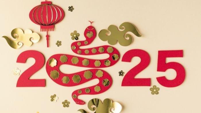 Makna Shio Ular Kayu, Shio Imlek 2025, Menciptakan Energi Unik untuk ...