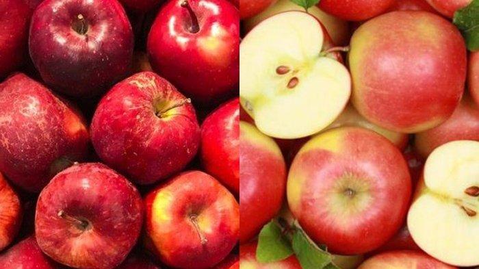 Manfaat Apel, Bisa Obati 13 Penyakit Berbahaya, Termasuk Redakan Batuk ...