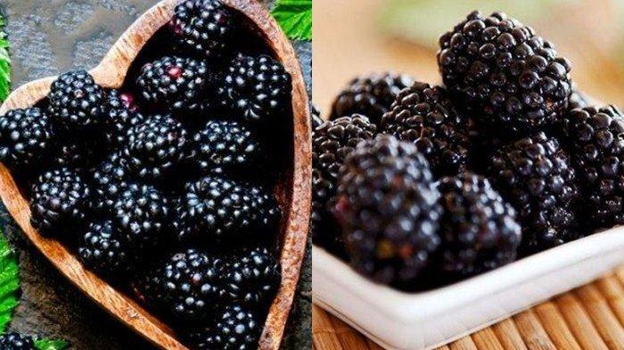 Manfaat Buah Blackberry, Bisa Obati 11 Penyakit Berbahaya, Termasuk ...
