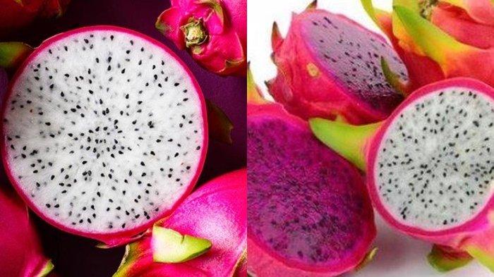 Manfaat Buah Naga, Bisa Obati 18 Penyakit Berbahaya, Termasuk Redakan ...