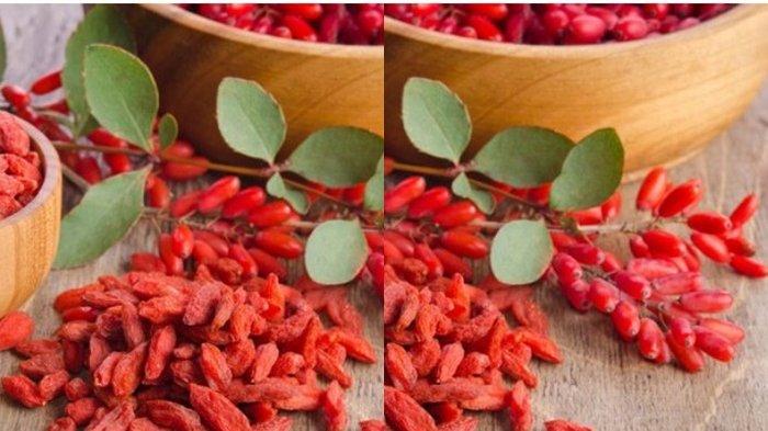 Manfaat Goji Berry, Obati 8 Penyakit Berbahaya, Termasuk Kontrol Gula ...