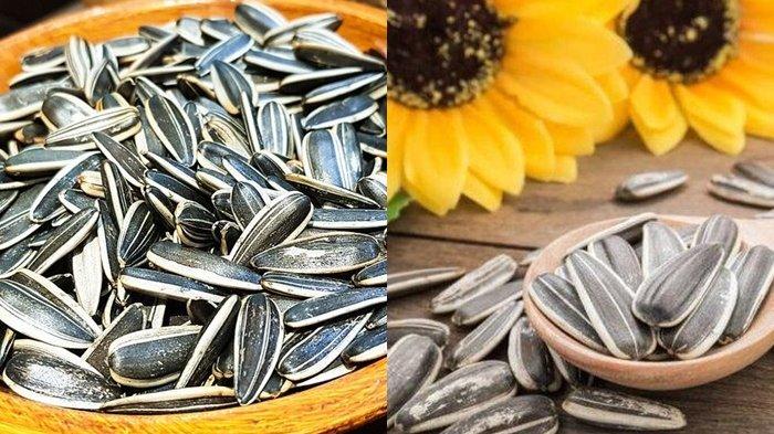 Manfaat Kuaci, Bisa Obati 12 Penyakit Berbahaya, Termasuk Cegah ...