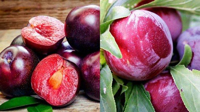 Manfaat Plum, Bisa Obati 21 Penyakit Berbahaya, Termasuk Cegah Obesitas ...