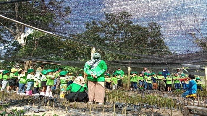 Anak-Anak Kiddie Land Nikmati Program Edu-Ecotourism PLN Peduli di ...