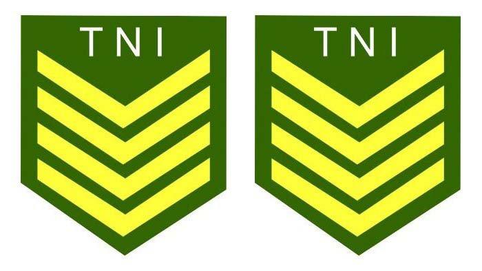 Video: Babinsa Labrak Anggota TNI Pangkat Sersan Mayor, Ternyata Polisi ...