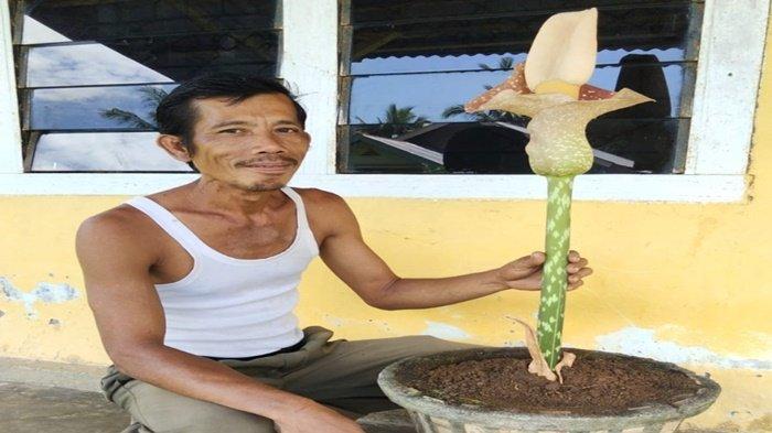 Warga Babat Musi Rawas ini Heran, Setelah 3 Hari Bunga yang ...