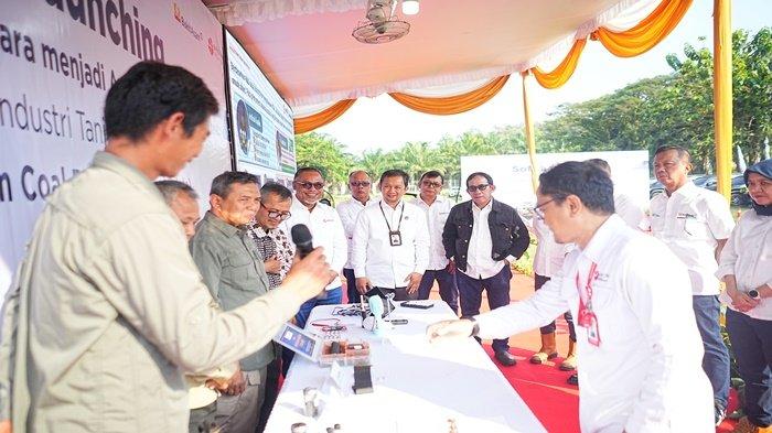 Pertama di Dunia, Bukit Asam dan BRIN Mulai Kembangkan Batu Bara untuk Bahan Baku Baterai Li-ion ...