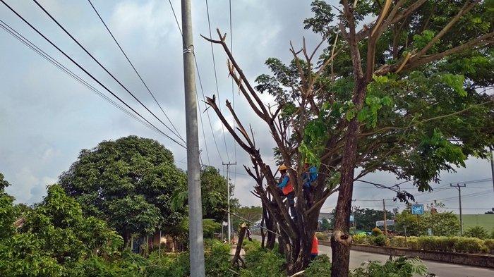 Hujan Berjam-jam dan Listrik Byarpet 8 Kali, Warga Muratara Sumsel Keluhkan Barang Elektronik ...