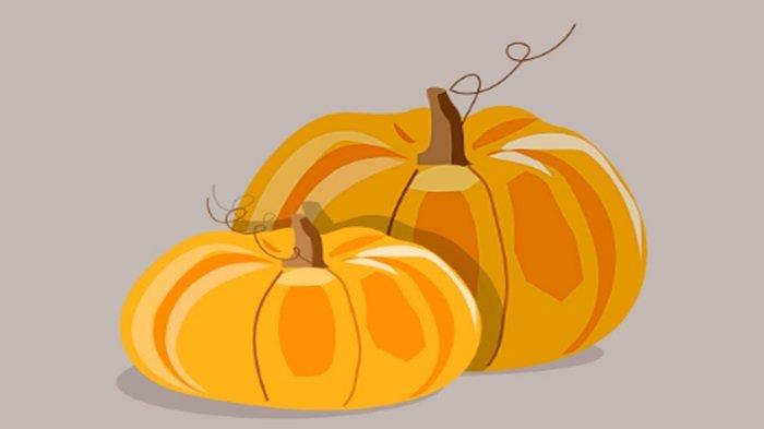 Latihan Soal Prakarya Kelas 7 SMP/MTs Materi Mengenal Bahan dan Produk Olahan Pangan Komoditas ...