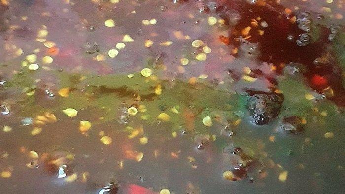 Resep Cuko Pempek Khas Palembang yang Kental dan Pedas, Segini Takaran ...